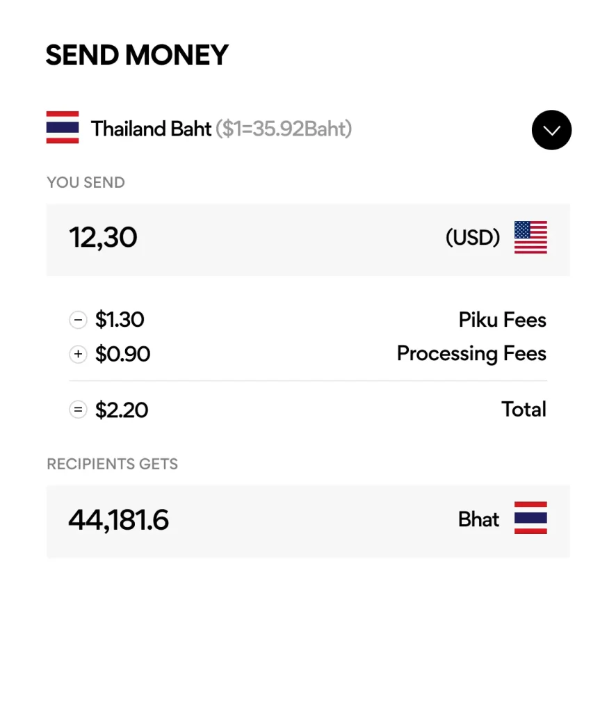 Payment Solutions – Piku WordPress Theme